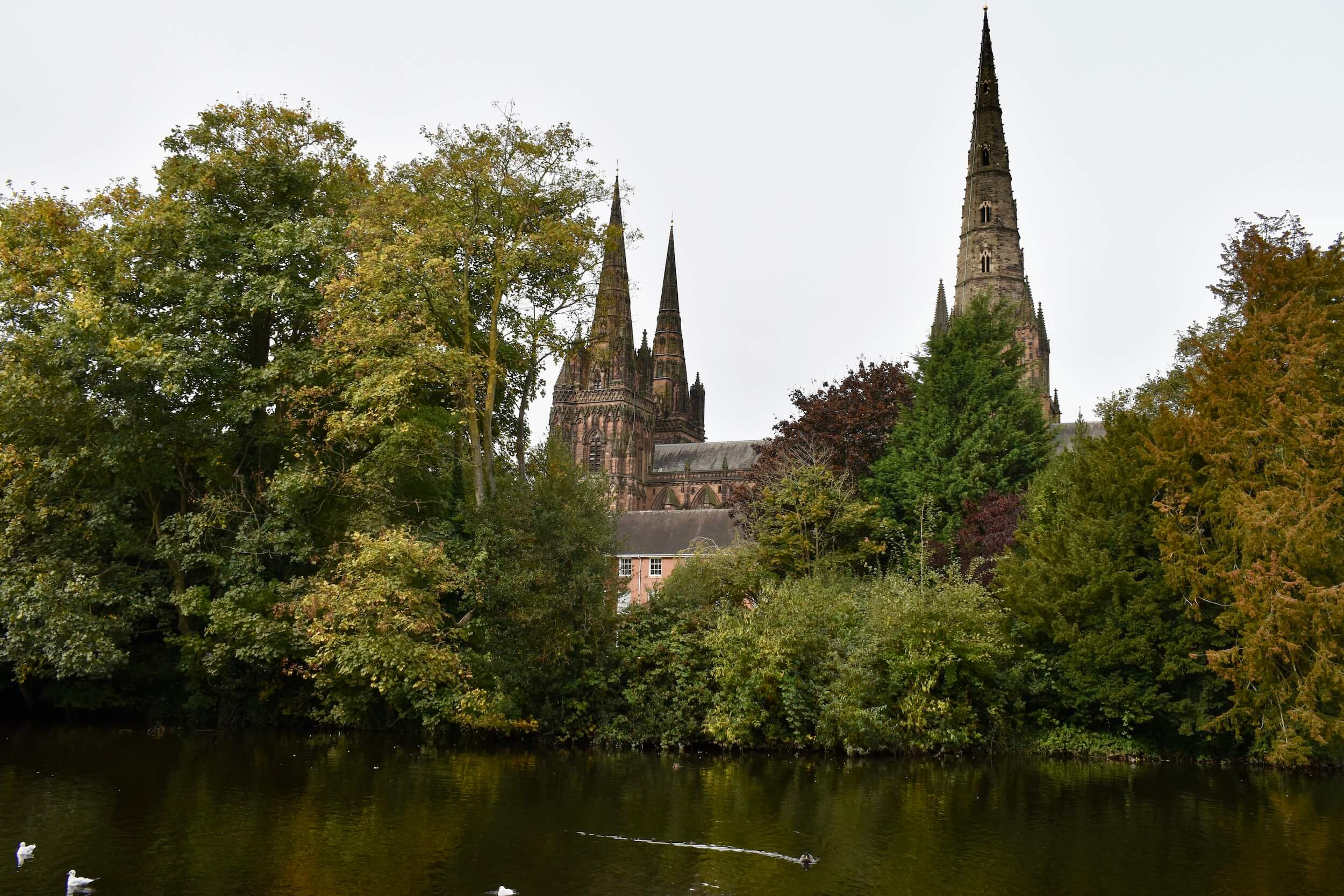 Houses for Sale Lichfield: Your Complete Area Guide - Chosen Home